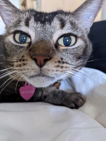 From all angles. – That Asian-Looking Chick